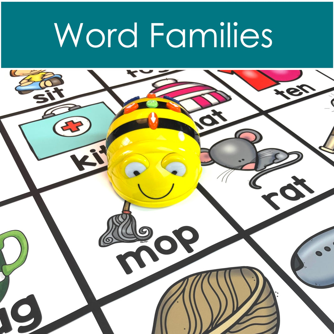 BeeBot Mats For Teachers