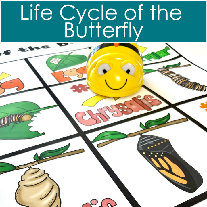 BeeBot Mats For Teachers